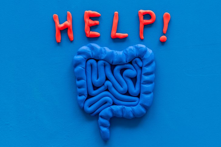 The Gut Health Guide ⋆ Food Health & Parenting Tips